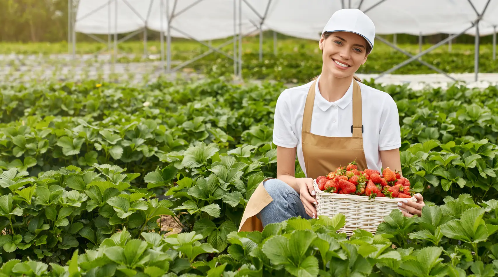 Akuni Fruits — Premium Avocados & Berries US Leading Importer - Akuni ...